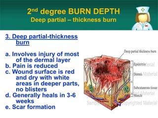 Peioperative Anaesthesia Management of Burn Patients.pptx