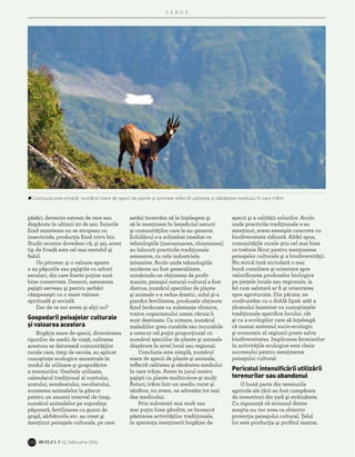 Peisajele culturale din România, între superlativ, ignoranţă şi distrugere | PDF