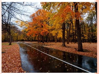 Tema : peisazh vjeshte lenda :art pamorr | PPTX