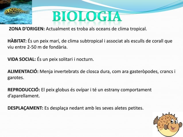 Peix globus | PPTX