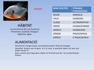 Peix piranya | PPTX