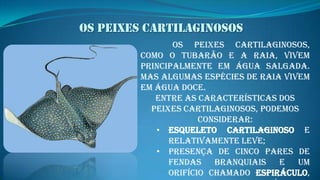 Peixes - BIOLOGIA | PPTX