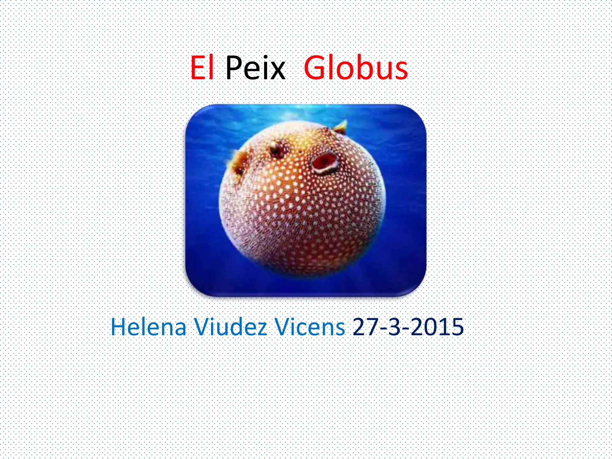 Peix globus Helena | PPTX