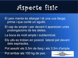 El peix manta (Miryam) | ODP