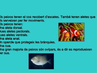 Peixos | PPS