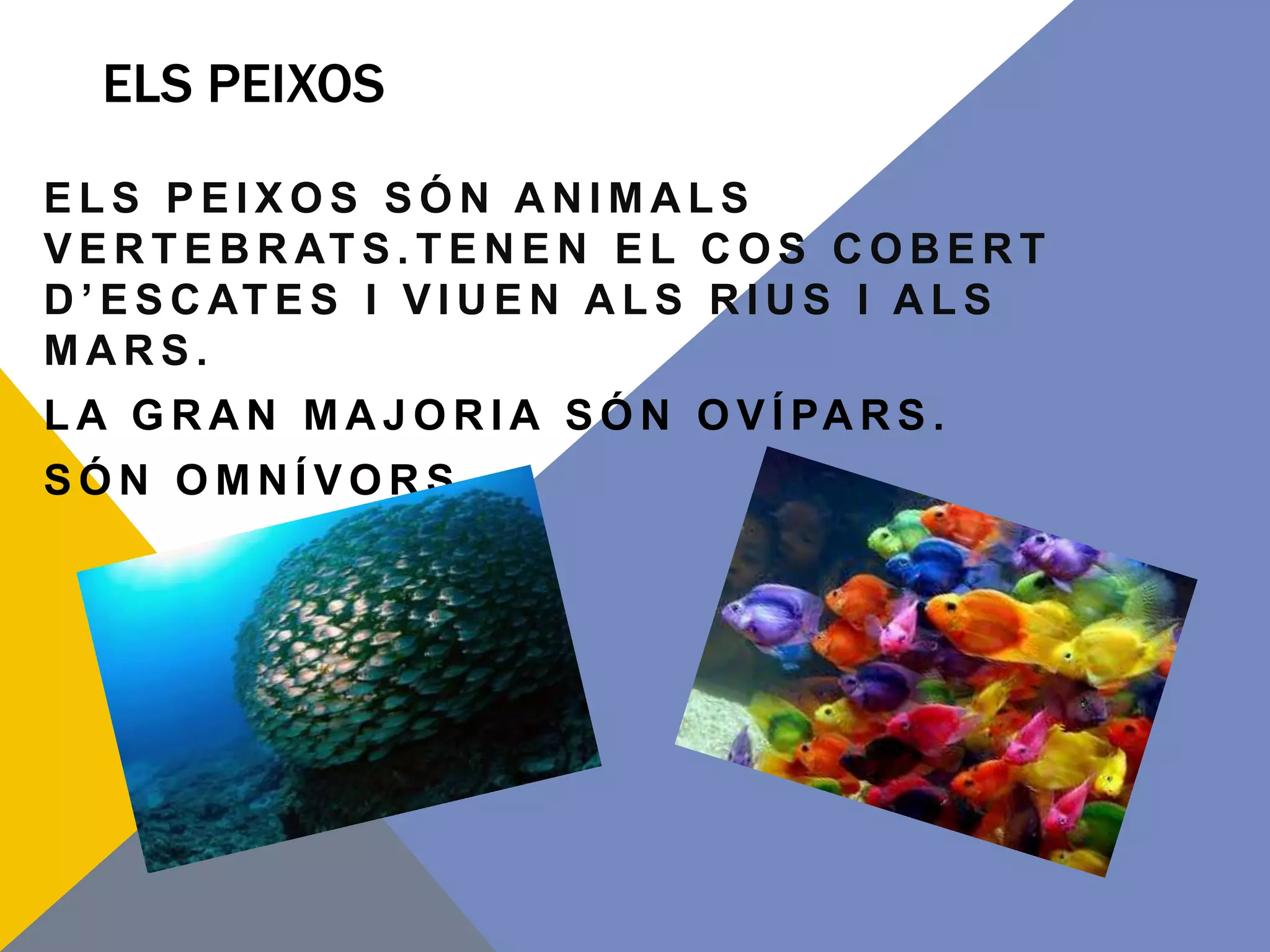 Peixos | PPT