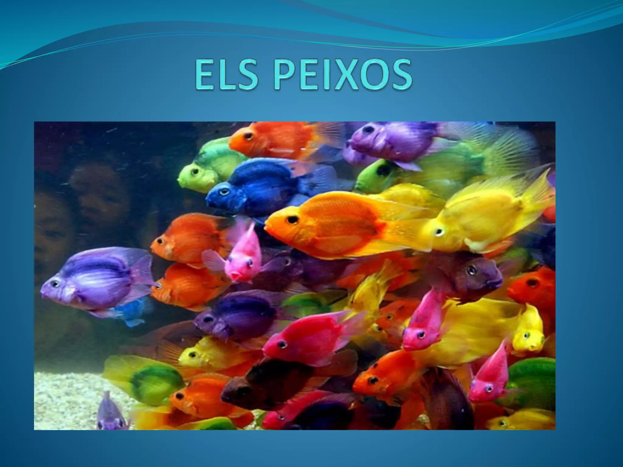 Peixos | PPT