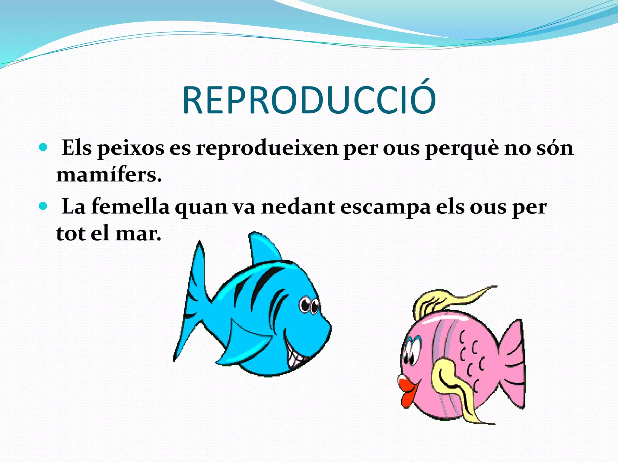Peixos | PPTX