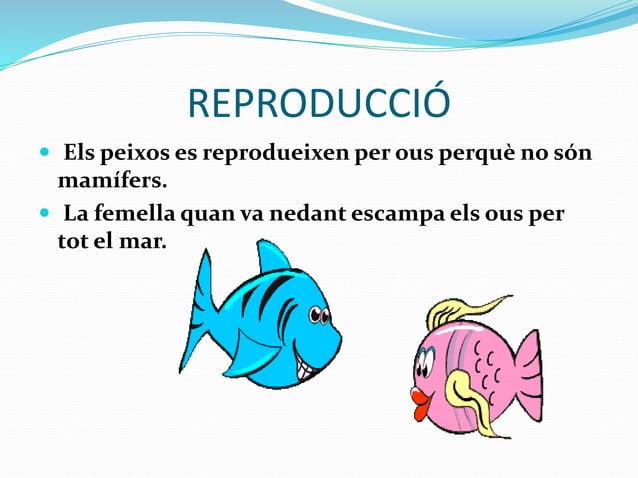 Peixos | PPTX