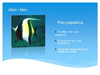 Peixos amics | PPTX