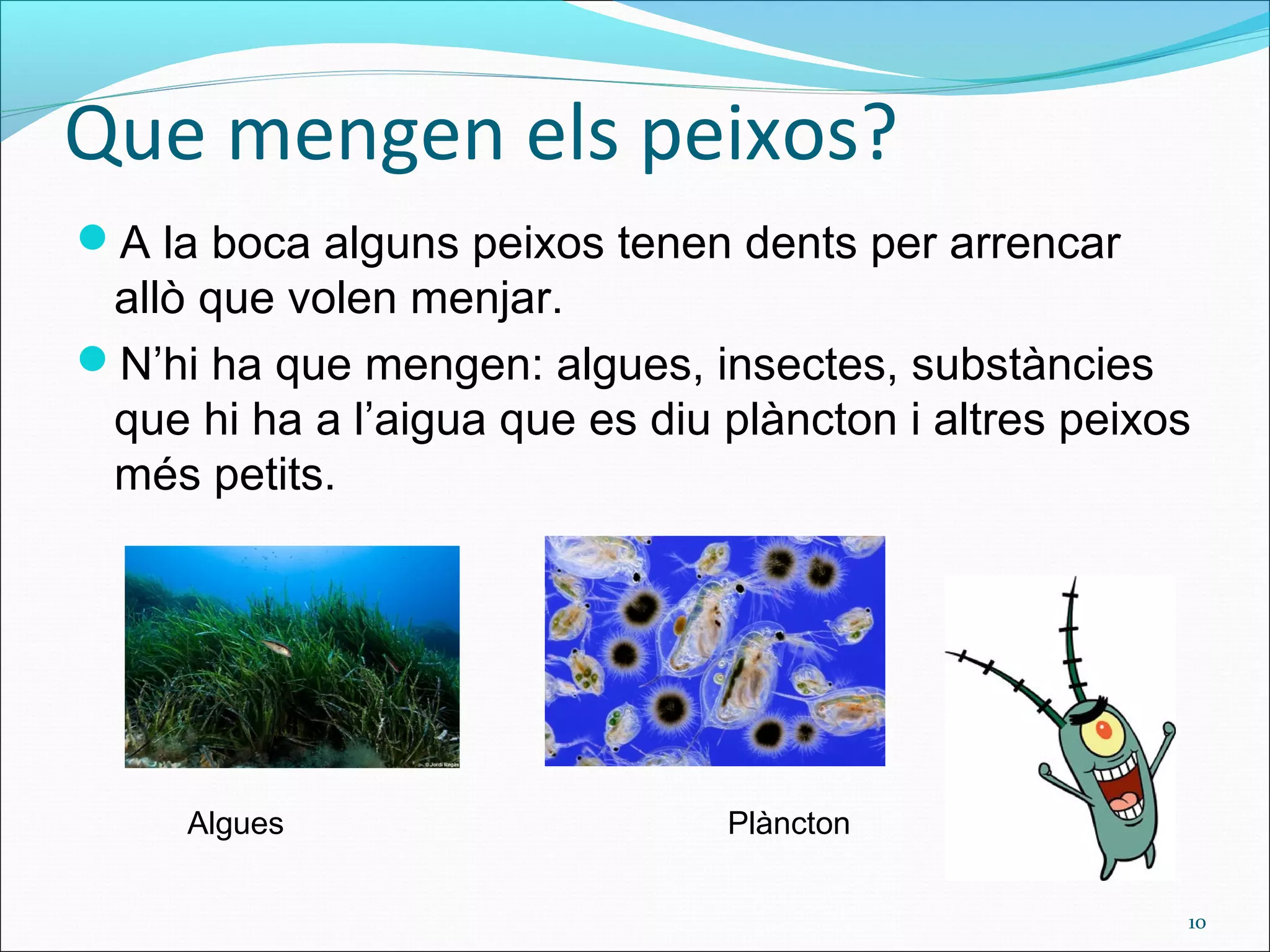 Peixos | PPT