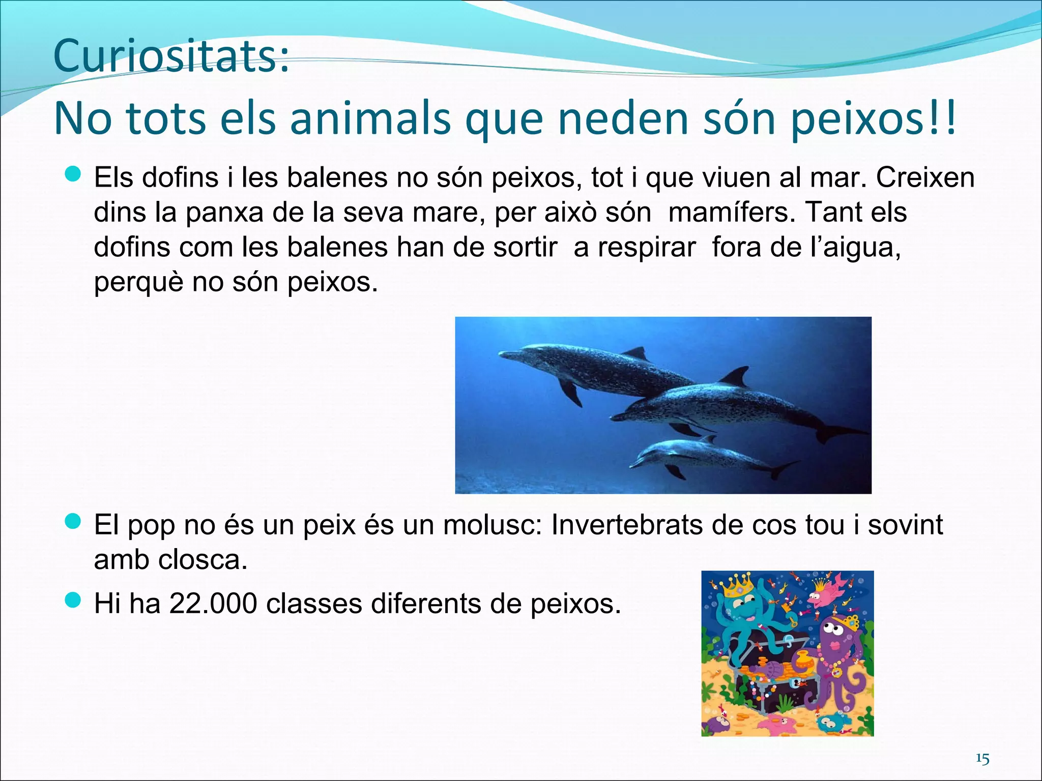 Peixos | PPT
