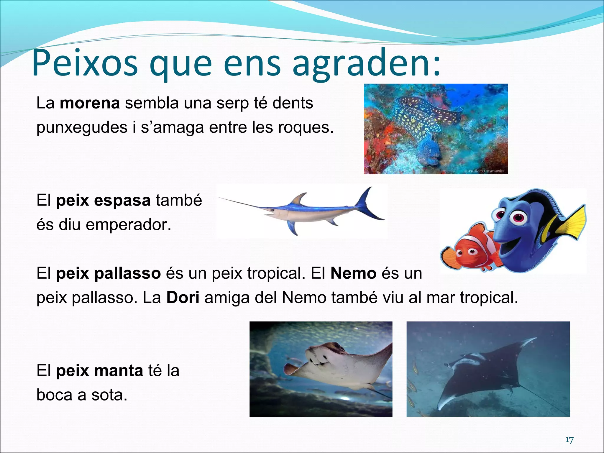 Peixos | PPT