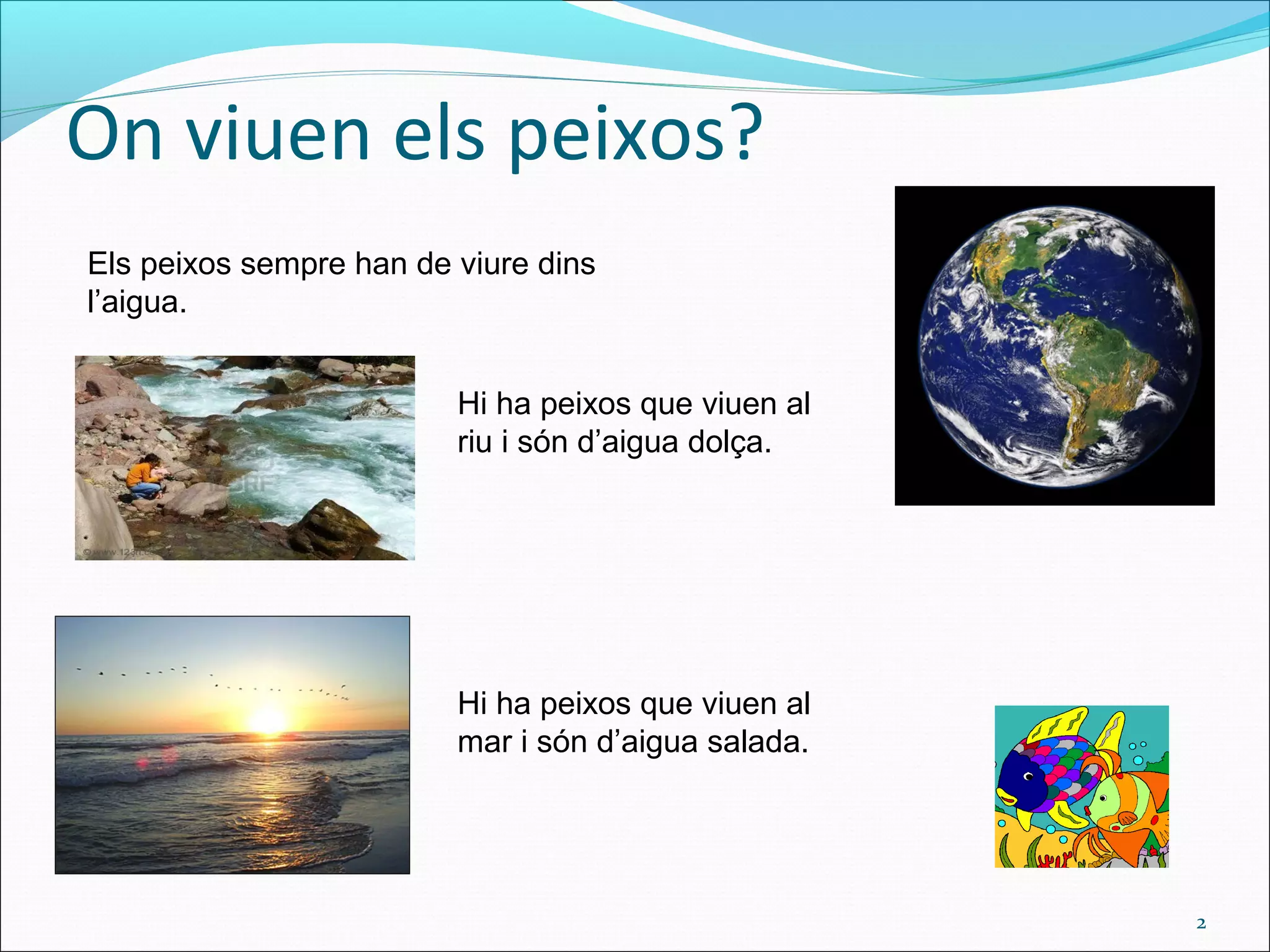 Peixos | PPT