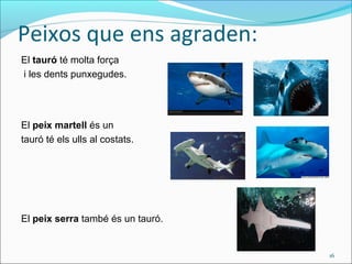 Peixos | PPT