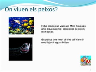 Peixos | PPT
