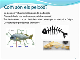 Peixos | PPT