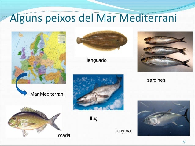 Peixos