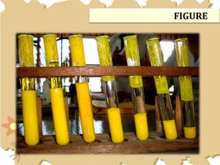 Experiment Construct Ionic Equations Through Continuous Variation Method | PPTX