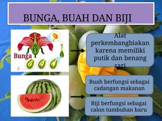 Pekan 7 Sesi 2 Bagian-Bagian Tumbuhan.pptx