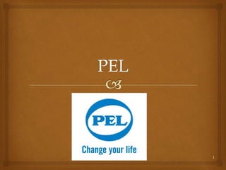 PEL Electronics | PPT