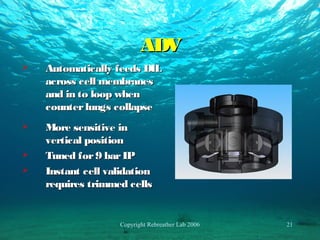 PELAGIAN DCCCR - mCCR | PPT