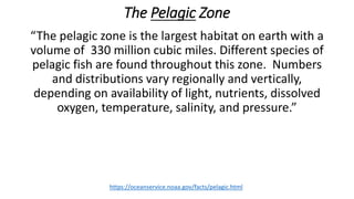 Pelagic Environments and Ecosystems (1) | PPTX