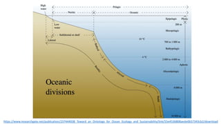 Pelagic Environments and Ecosystems (1) | PPTX