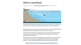 Pelagic Environments and Ecosystems (1) | PPTX