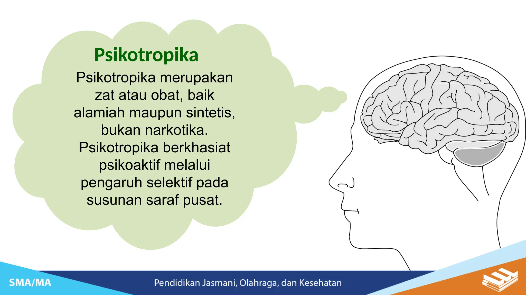 Pelajaran 10 NAPZA dan Obat Berbahaya Lainnya (edt).pptx
