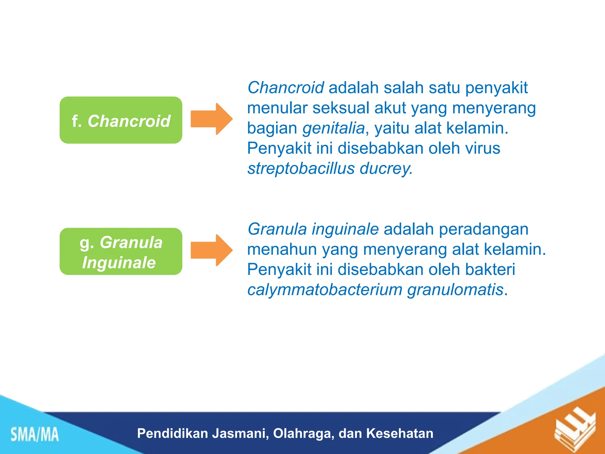 Pelajaran 9 Penyakit Menular Seksual.pptx