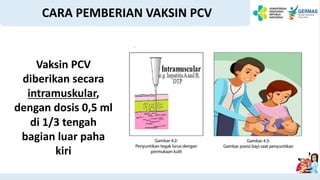 Pelaksanaan Imunisasi PCV - Workshop PCV.pdf