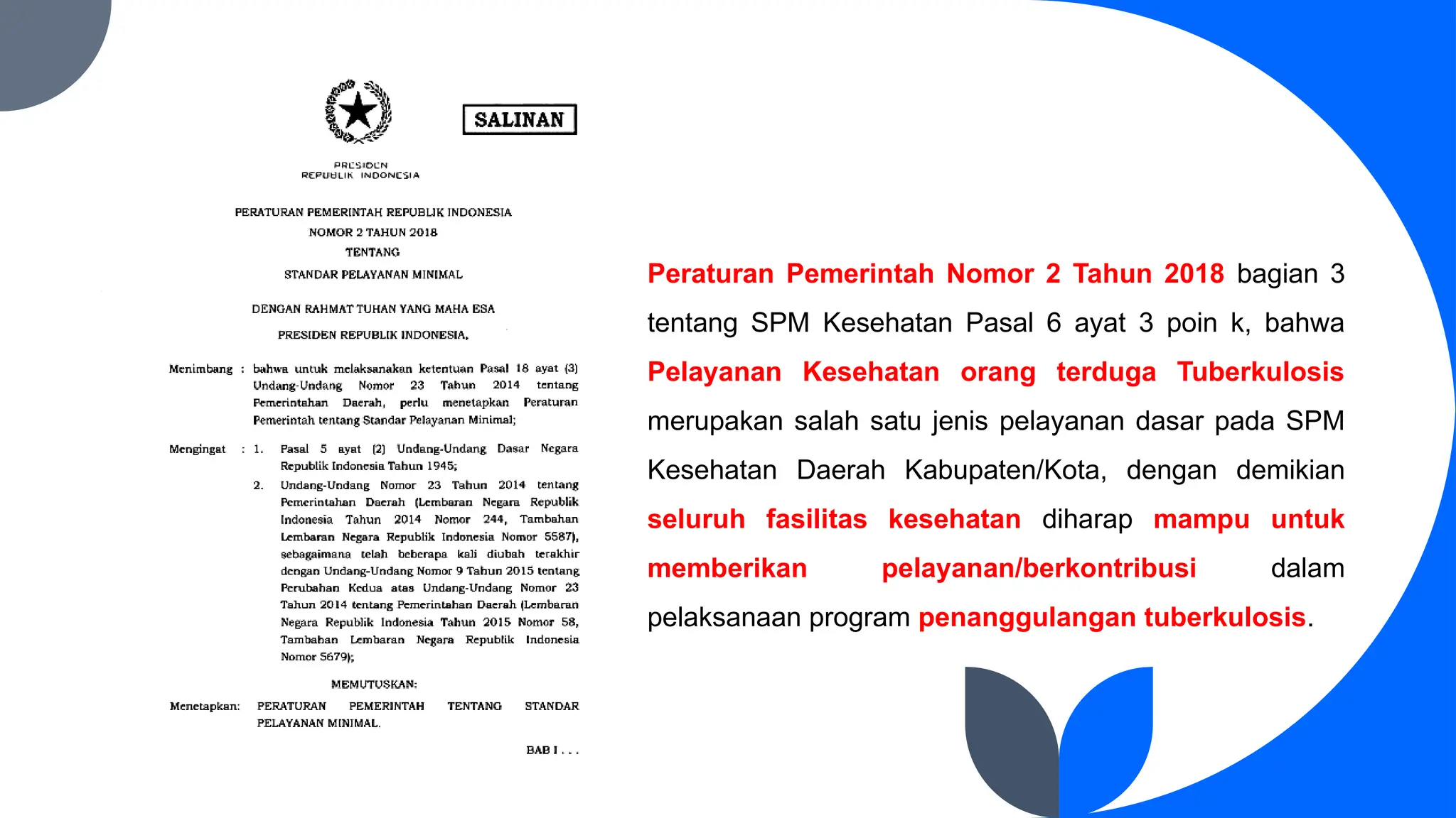 PELAKSANAAN JEJARING PROGRAM TUBERKULOSIS 2023.pptx