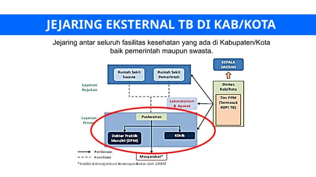 PELAKSANAAN JEJARING PROGRAM TUBERKULOSIS 2023.pptx