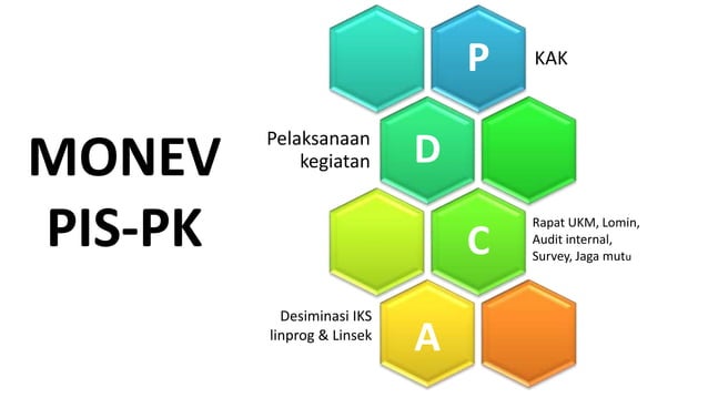 PELAKSANAAN PIS-PK di puskesmas tnwt.pptx