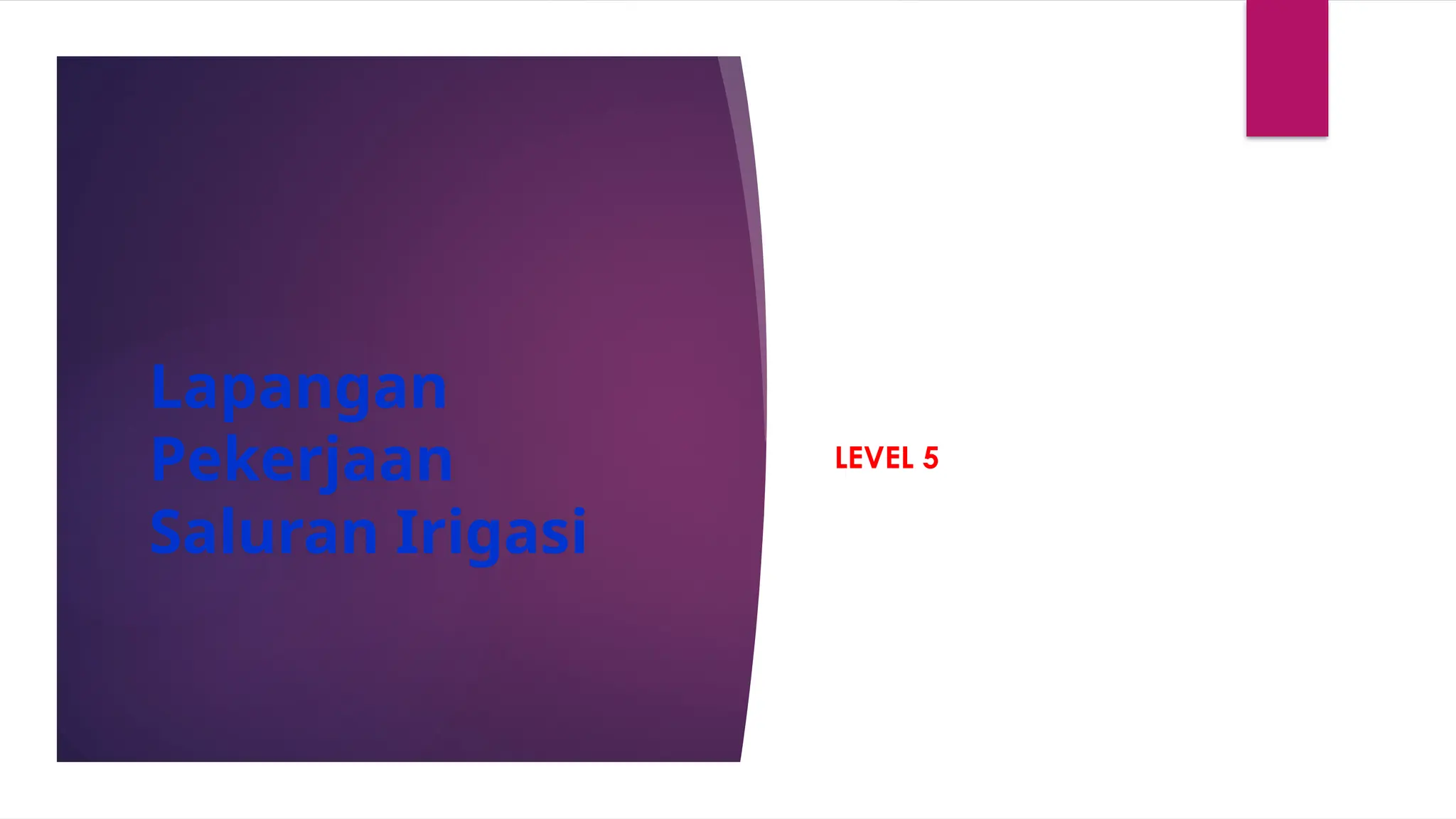 PELAKSANA PEKERJAAN SALURAN IRIGISAI SAWAH.pptx