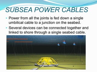 sea snakes to create electricity | PPT