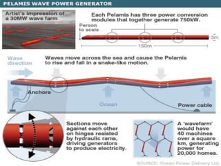 sea snakes to create electricity | PPT