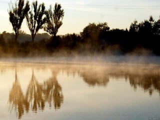 Pe langa plopii fara sot | PPS