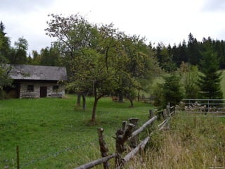 Pe langa plopii fara sot | PPS