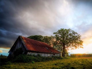 Pe langa plopii fara sot | PPS