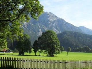 Pe langa plopii fara sot | PPS