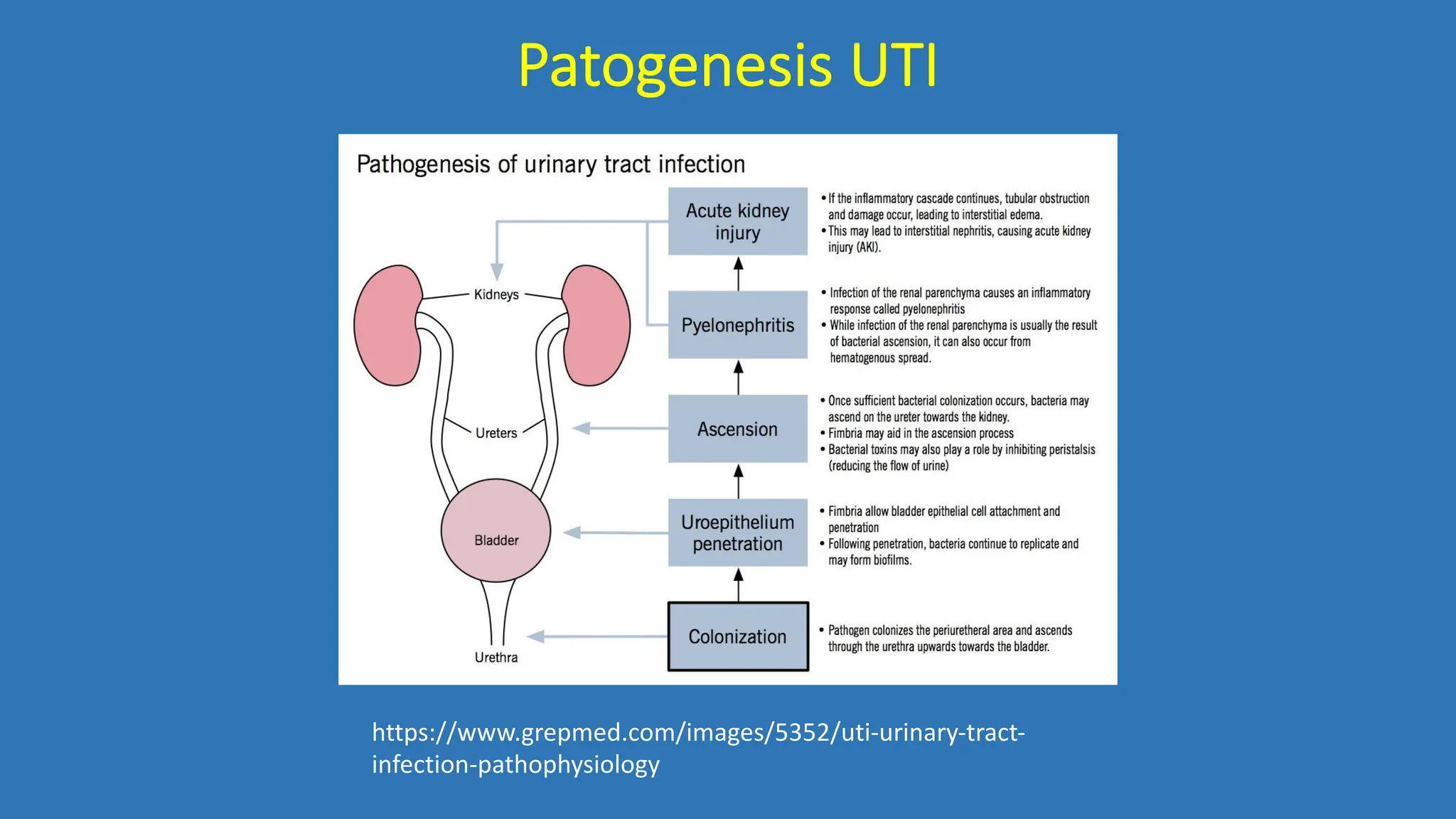 Pelaporan HAIs_Kemenkes_OK untuk RUMAH SAKIT.pdf