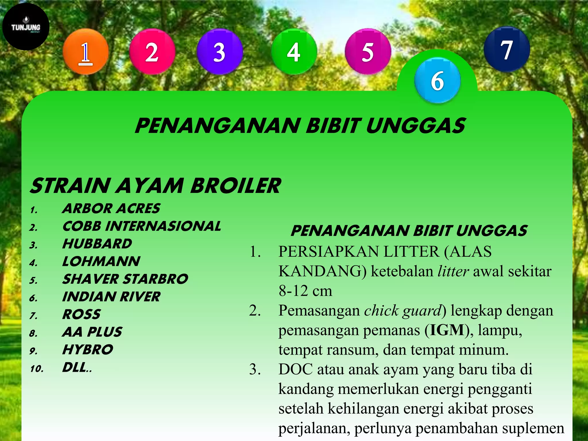 pelatihan ayam broiler desa.pptx