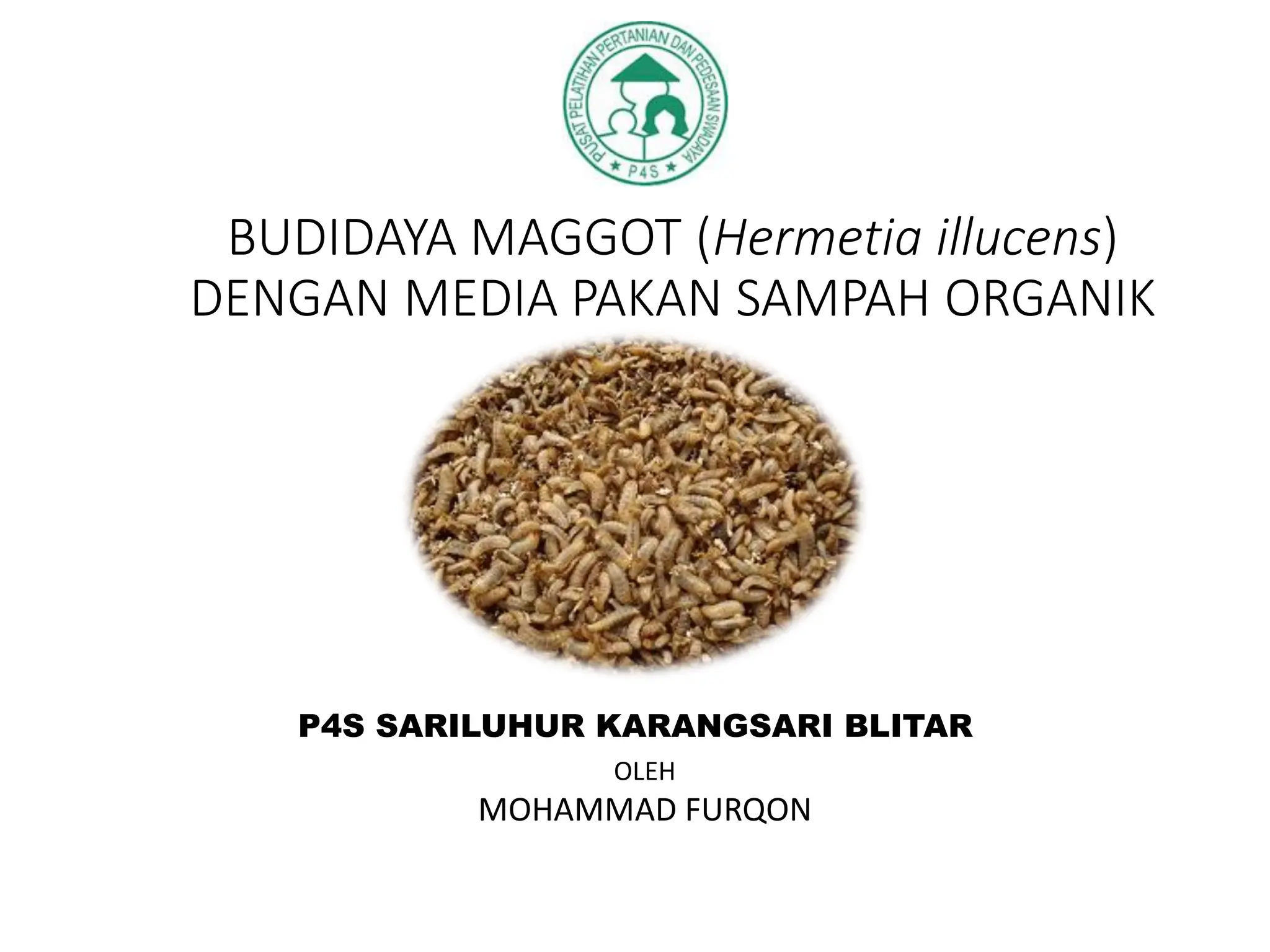 Pelatihan Budidaya Maggot (1).pdf