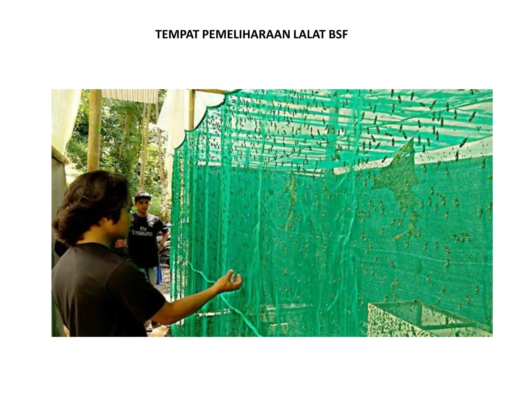 Pelatihan Budidaya Maggot (1).pdf