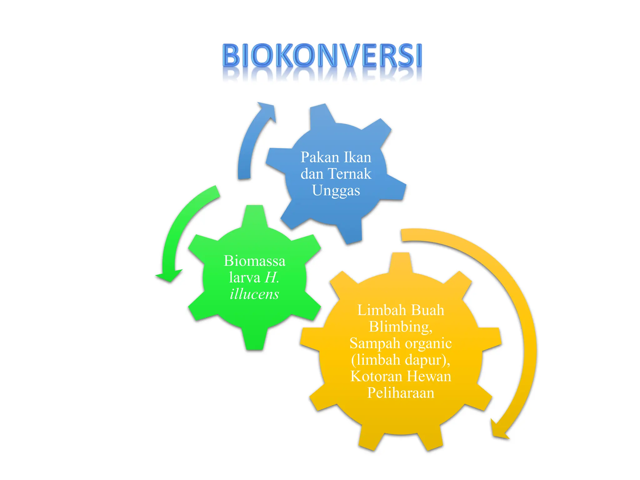 Pelatihan Budidaya Maggot (1).pdf