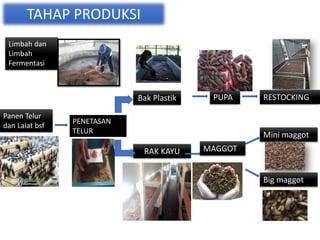 Pelatihan Budidaya Maggot (1).pdf