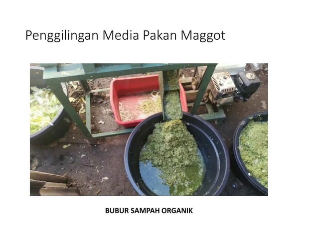 Pelatihan Budidaya Maggot (1).pdf