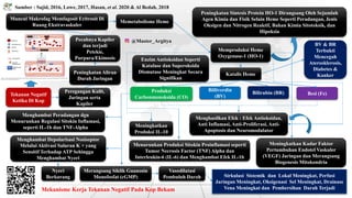 Pelatihan PBI Bekam merupakan bekal bagi terapis | PPTX
